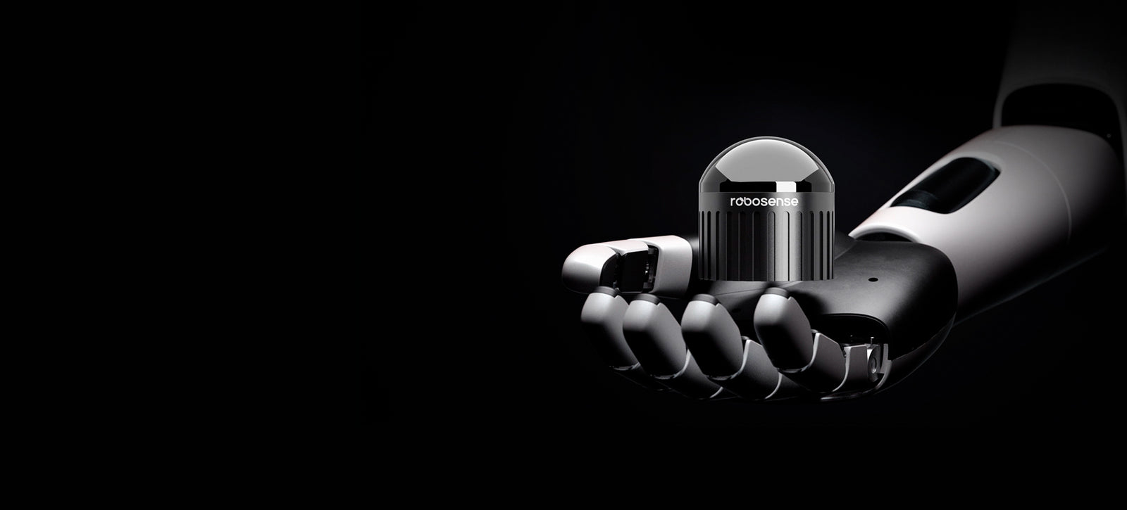 RoboSense